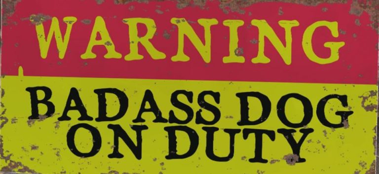 Vintage Metal Sign Warning Bad Ass Dog On Duty | Gallery42